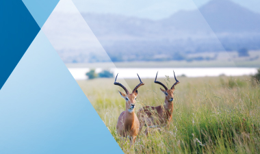 SETAC 9th World Congress/SETAC Africa 12th Biennial Meeting