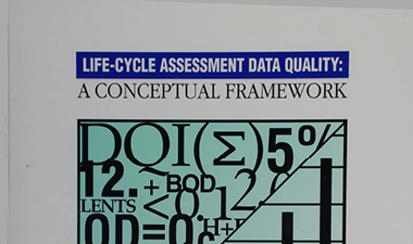 Life-Cycle Assessment Data Quality: A Conceptual Framework
